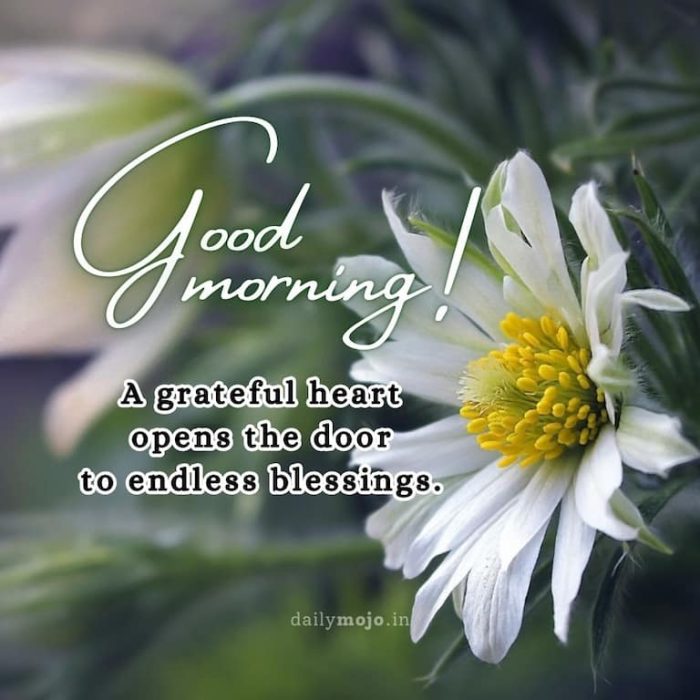 Good Morning Images with Quotes for WhatsApp, FB and Insta