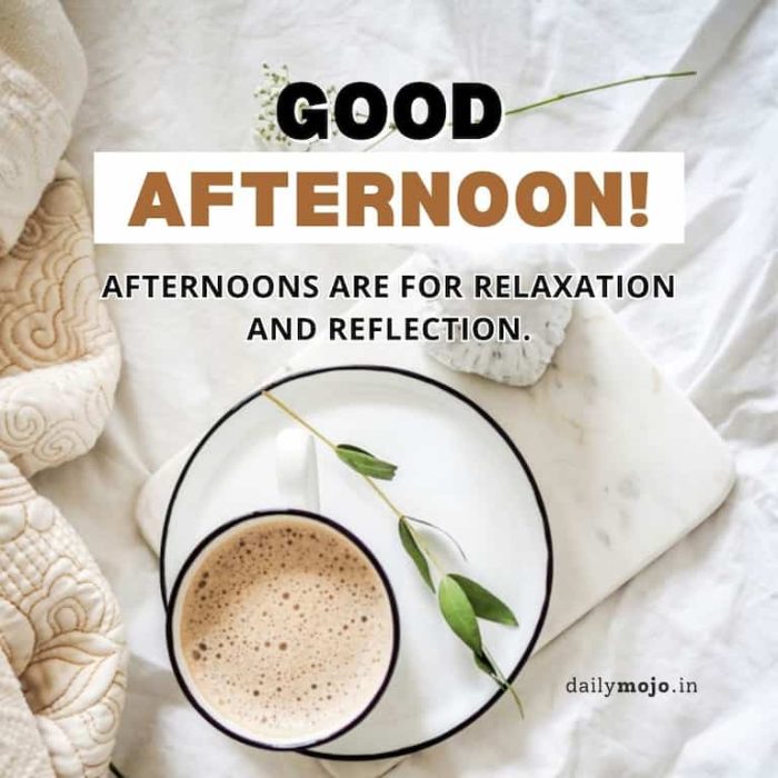 100+ Good Afternoon Images, Quotes, Wishes to Spread Joy