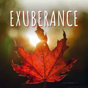 65+ Powerful One Word Quotes on Life, Mindset, Attitude