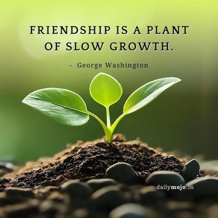 55 Friendship Quotes to Celebrate True Friendship