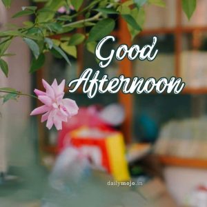 100+ Good Afternoon Images, Quotes, Wishes to Spread Joy