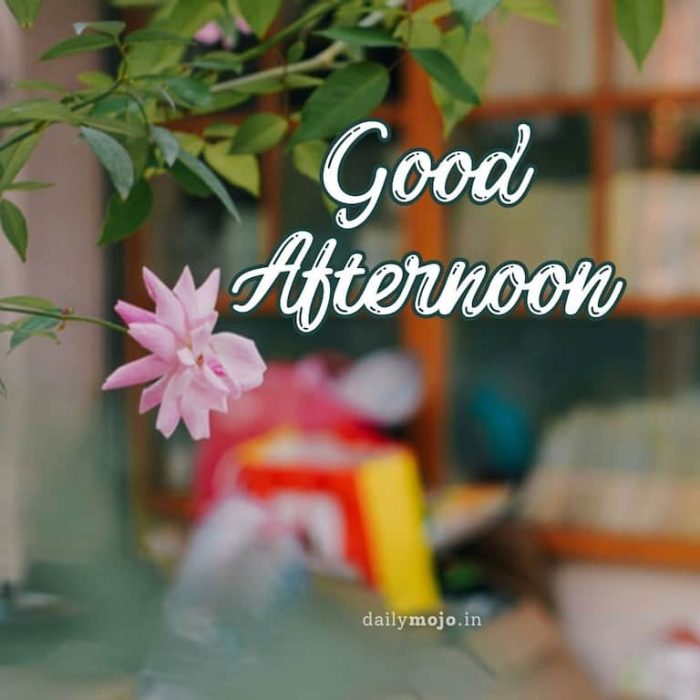 100+ Good Afternoon Images, Quotes, Wishes to Spread Joy
