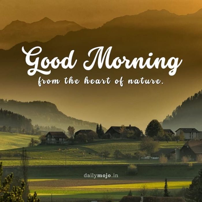 Good Morning Nature Images: Beautiful HD Pics With Quotes