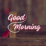 50+ Romantic Good Morning Images for Lovers and Couples