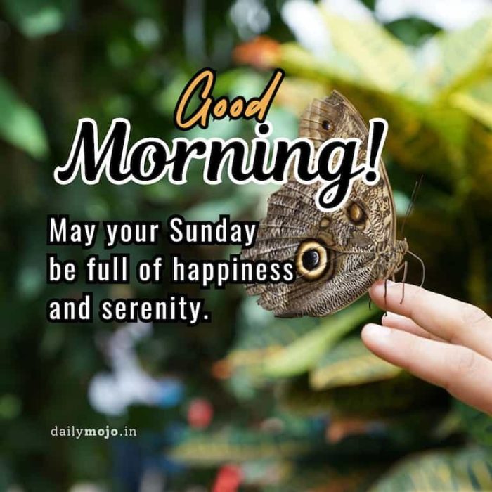 100+ Happy Sunday Morning Wishes and Images for WhatsApp
