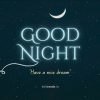 Download New Beautiful Good Night Images, Pics and Quotes
