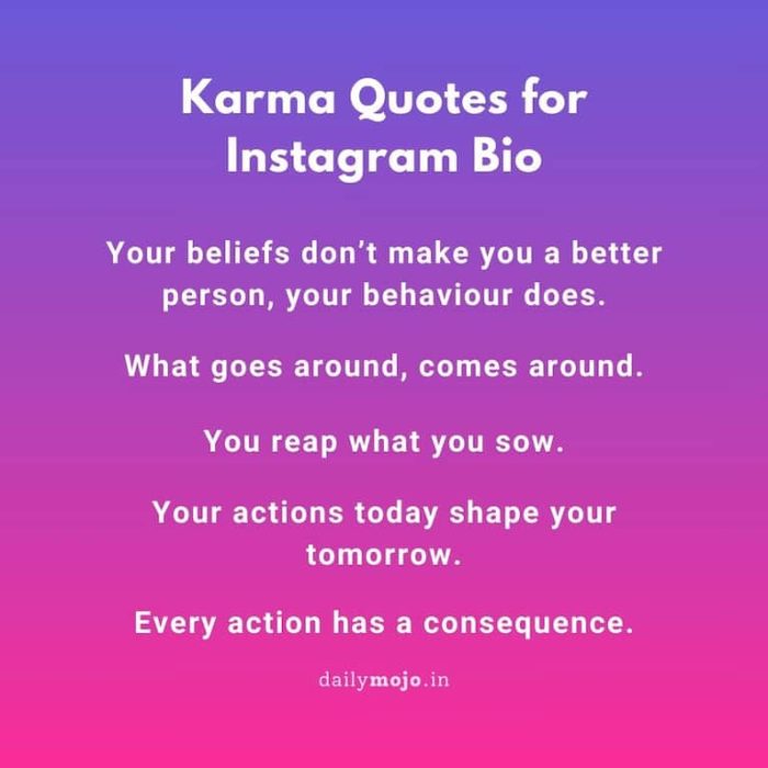 Best 350+ Quotes for Instagram Bio to Stand Out on Insta