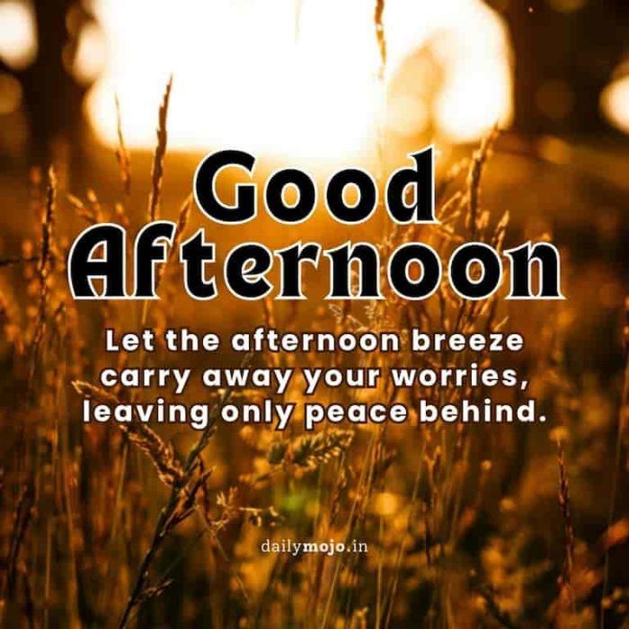 100+ Good Afternoon Images, Quotes, Wishes to Spread Joy