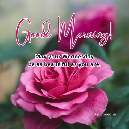 Good Morning Wednesday Images, Wishes and Quotes