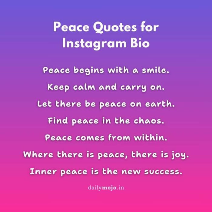 Best 350+ Quotes for Instagram Bio to Stand Out on Insta