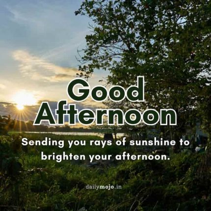 100+ Good Afternoon Images, Quotes, Wishes to Spread Joy