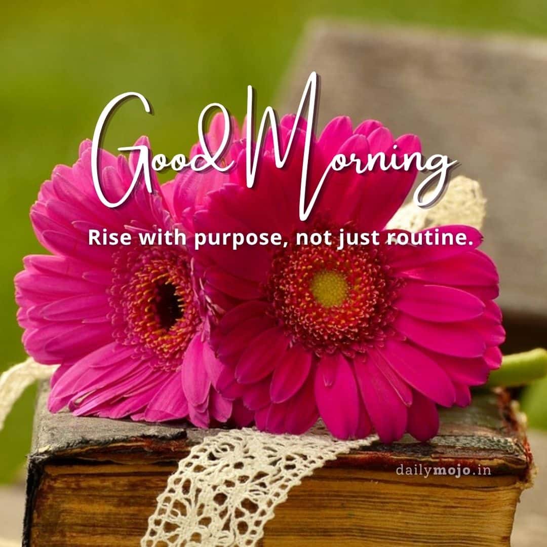 Best 100+ Good Morning Flower Images, Wishes and Quotes