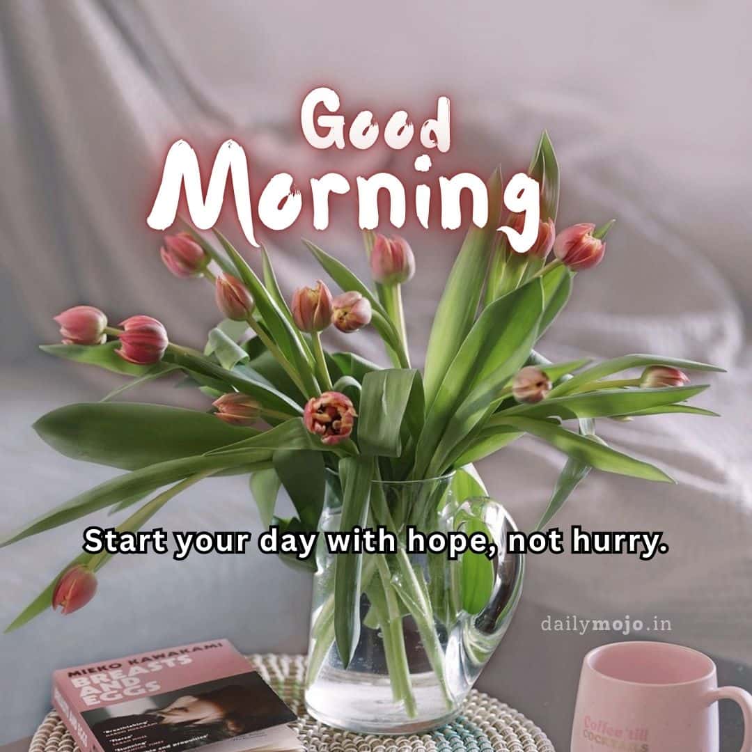 Best 100+ Good Morning Flower Images, Wishes and Quotes