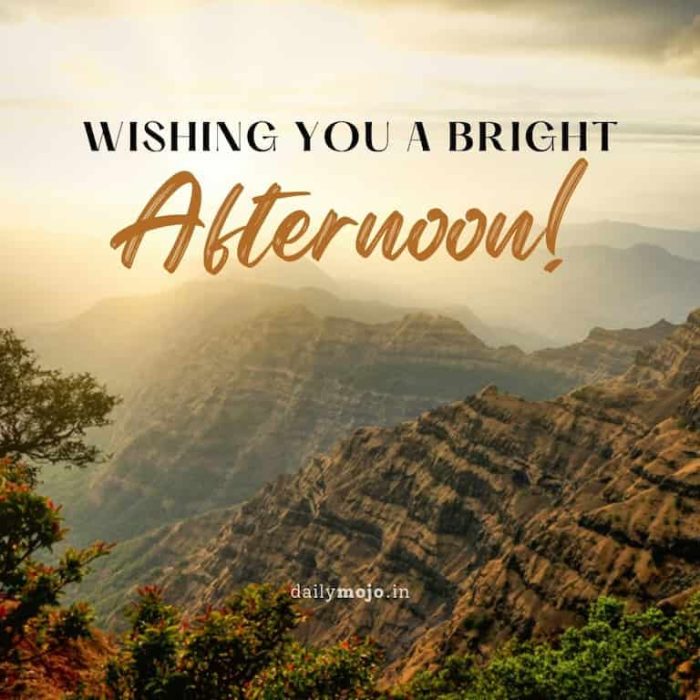 100+ Good Afternoon Images, Quotes, Wishes to Spread Joy